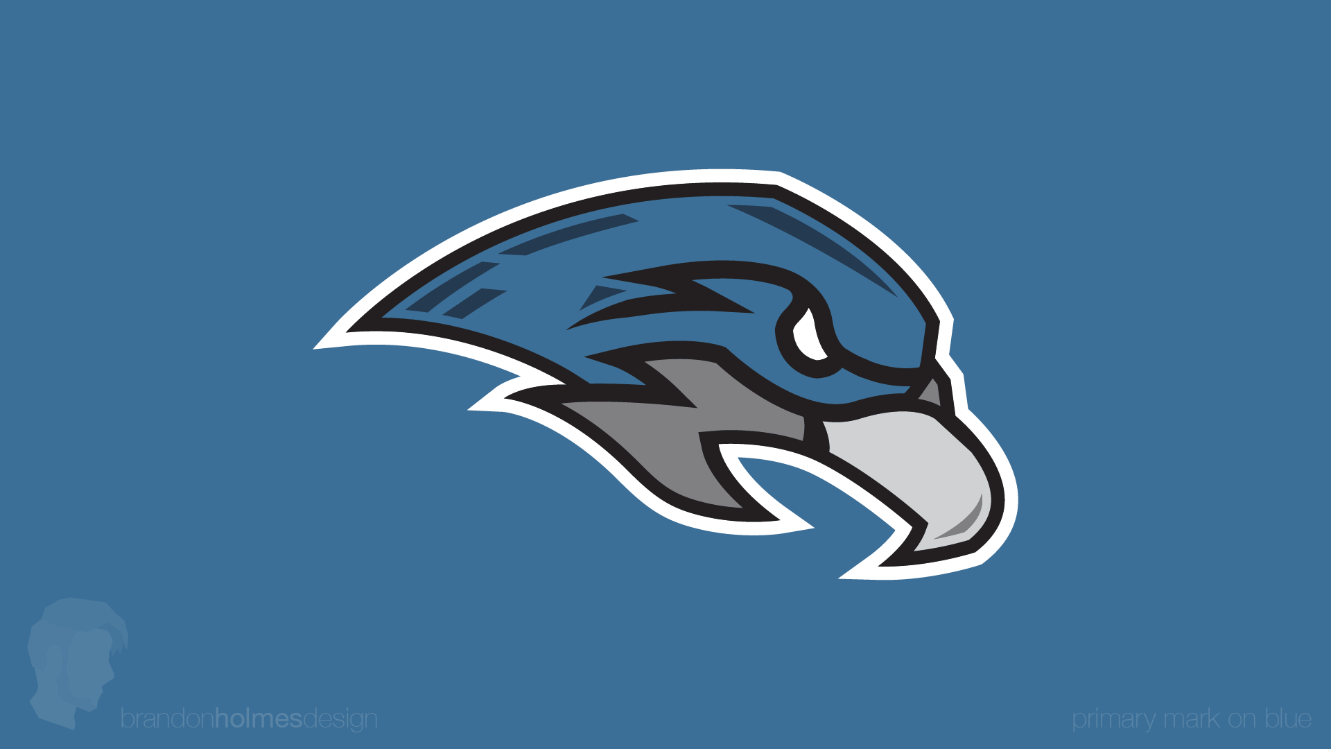 Steelhawks Logo 1984 88 Hamilton Steelhawks #20 CHL OHL Game Worn